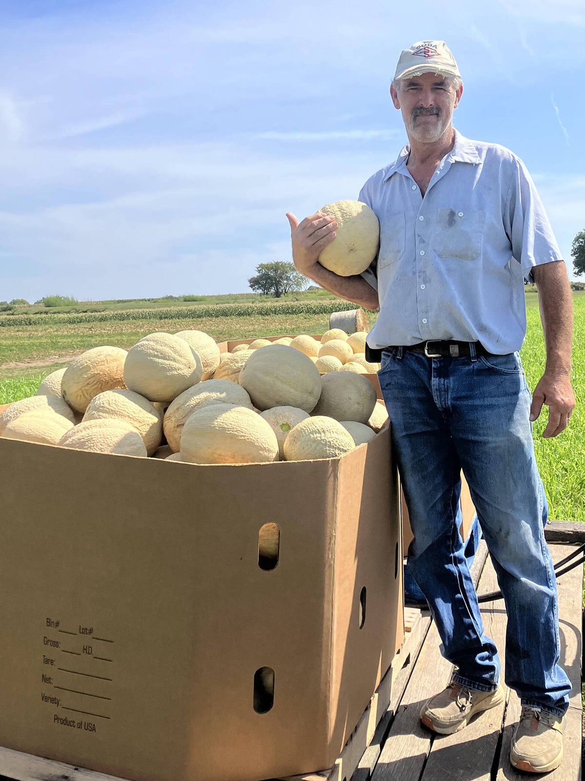 HOME | Schaefer's Farm Market