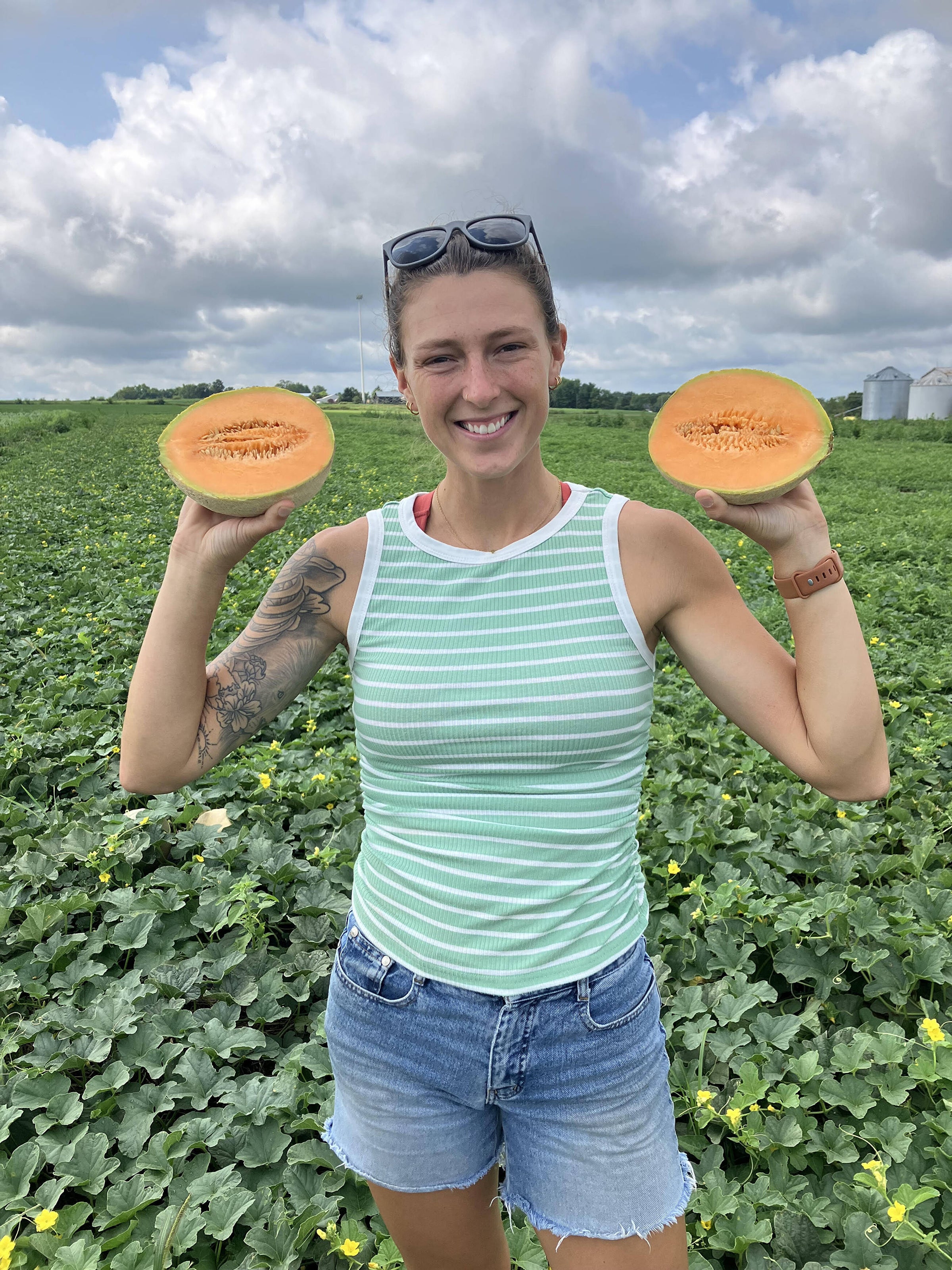 HOME | Schaefer's Farm Market