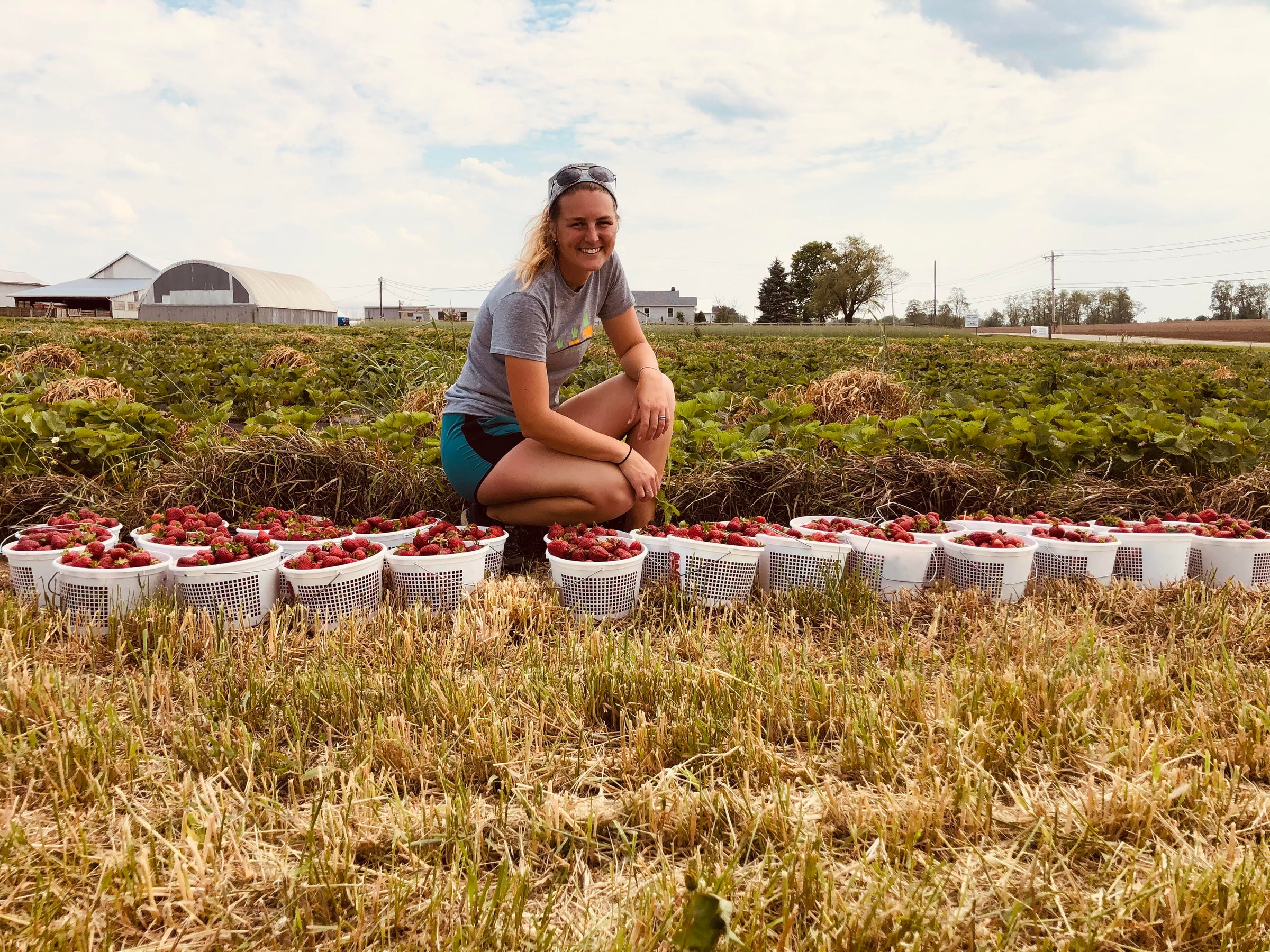 U-PICK | Schaefer's Farm Market