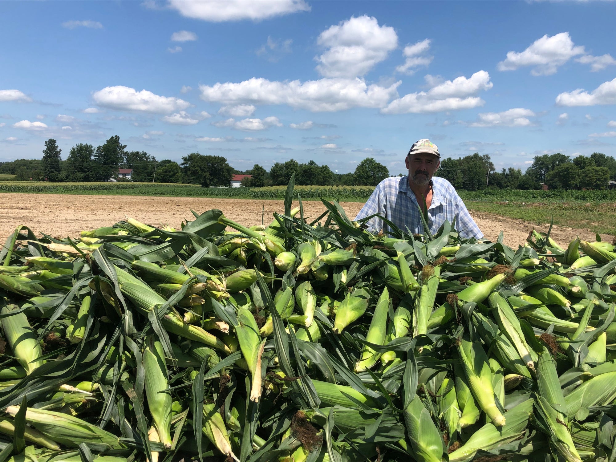 HOME | Schaefer's Farm Market